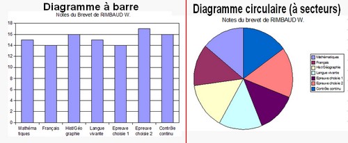 Domaine 3 Exercice 5 (C 3.4; C 3.5)
